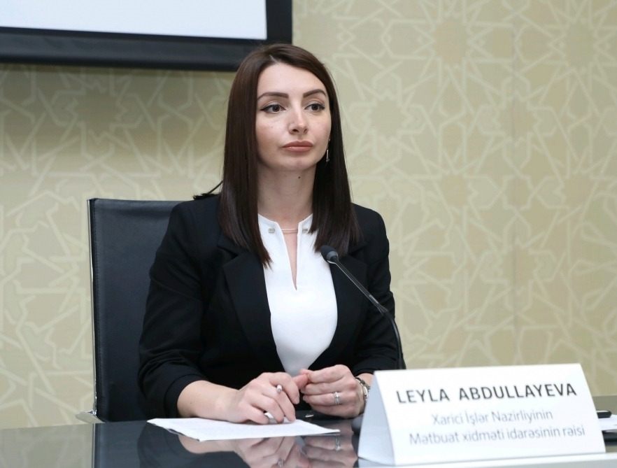 Leyla Abdullayeva: Azerbaijan - one of most mine-contaminated countries
