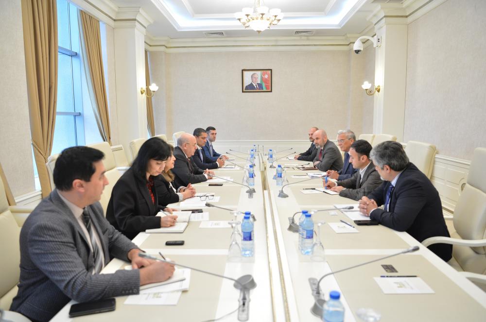 Milli Majlis Committee met with World Health Organization representatives